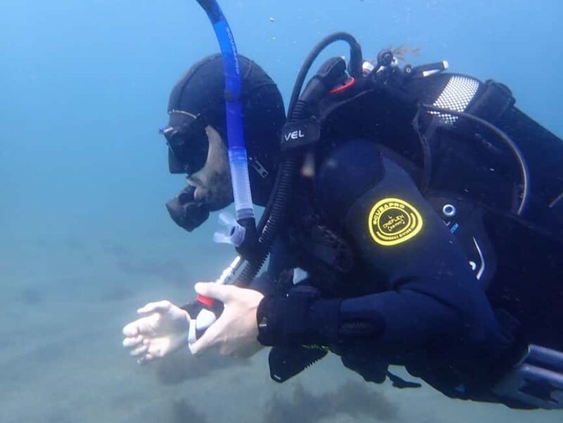 My First Scuba Dive into the Ocean from Terceira - Azores - The Itinerary Breakdown