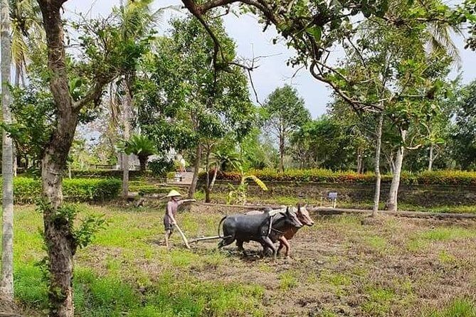 MY LAI MASSACRE & VIETNAMESE HEROIC MOTHER STATUE - Private Tour - Key Points