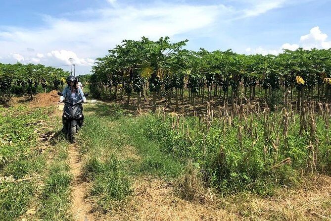 My Son Adventures Loop (1 ngày -150km) - Pricing and Value