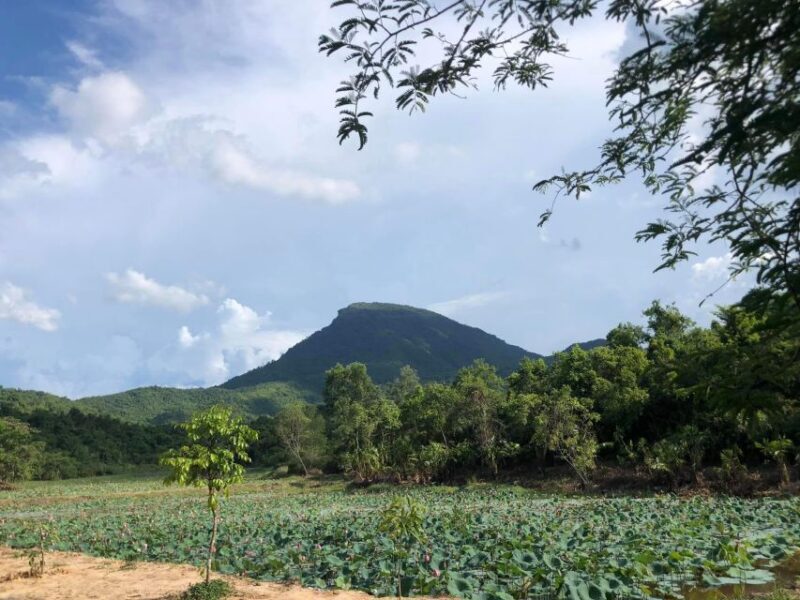 My Son & Mable Mountains: Private Trip From Hoi An/Da Nang - Unpacking the Experience