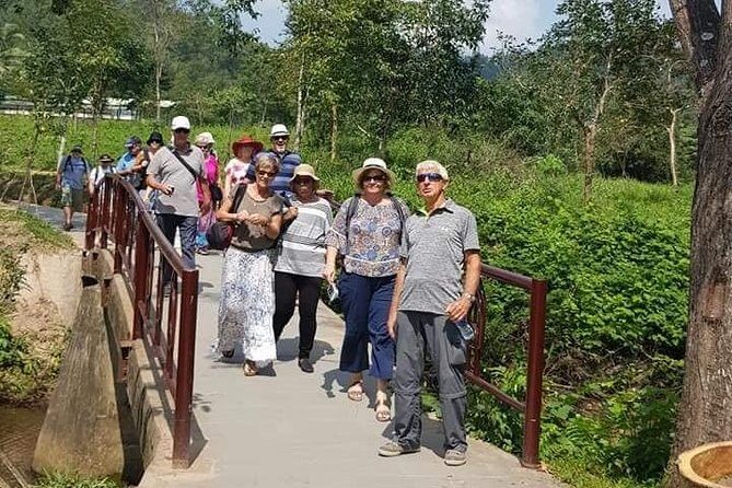 My Son Morning Private Guided Tour - FAQ