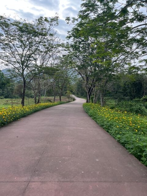 My Son sanctuary and Marble mountain tours and transfer - Overall Experience and Authenticity