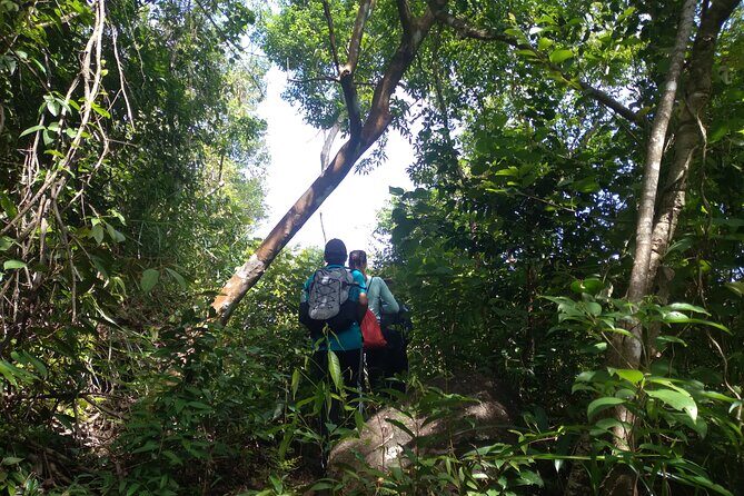 My Son sanctuary and mountain trekking - Final Thoughts: Who Will Love This Tour?