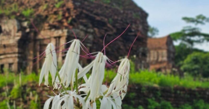 My Son Sanctuary Morning/Afternoon with Boat Trip and Banhmi - Who This Tour Is Best For