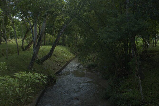 My Son Sanctuary Private Tour - Early Morning or Half Day Tour - Practical Tips for Visitors