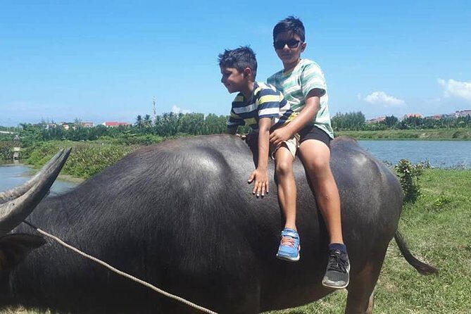 My Son Sanctuary Tour by Car & Hoi An Countryside Tour by Bicycle in One Day - Who Will Appreciate This Tour?