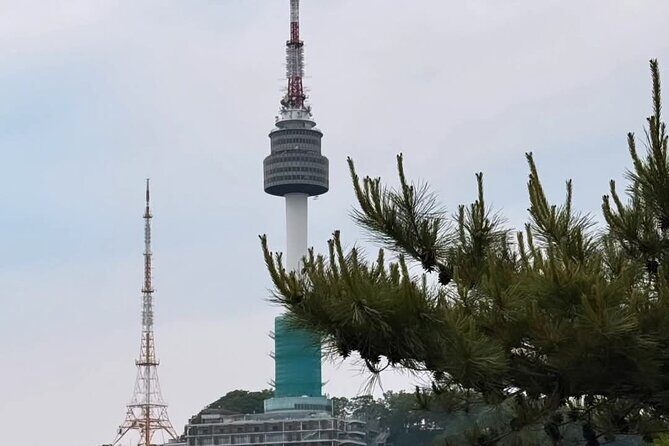 Myeongdong Seoul Private Minivan Shopping Tour - Final Thoughts: Who Will Love This Tour?