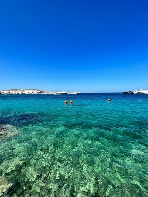 Mykonos: Beach Hopping Tour by Van - Key Points