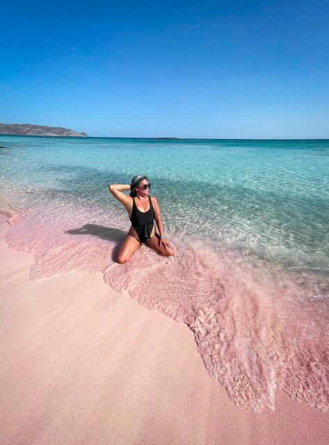 Mykonos: Beach Hopping Tour by Van - Elia Beach (Approx. 1 Hour)