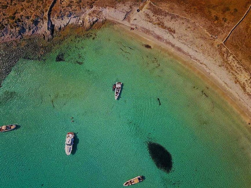 Mykonos: Delos and Rhenia Land Cruise with Fruit and Snacks - Delos: The Old Holy Island