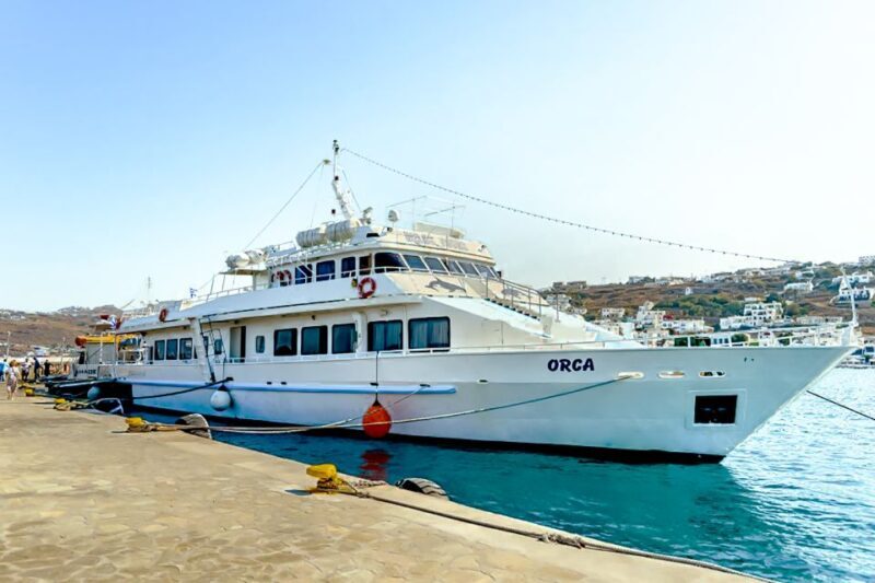 Mykonos: Delos Boat Transfer with Cell Phone Audioguide - Pros and Cons