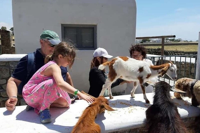 Mykonos Family Jeep Adventure: Farm, Winery and Beach Fun - Customization and Flexibility