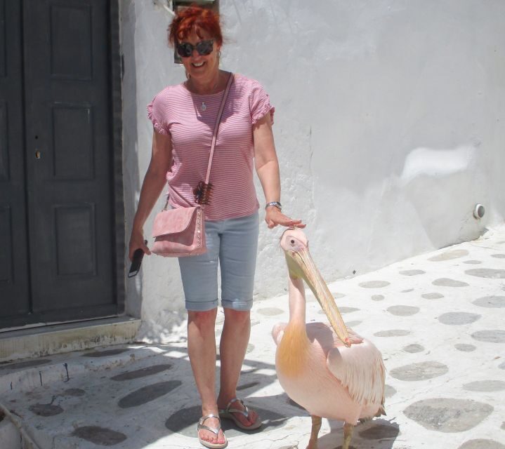 Mykonos: Guided Highlights Tour - What the Tour Offers in Terms of Value