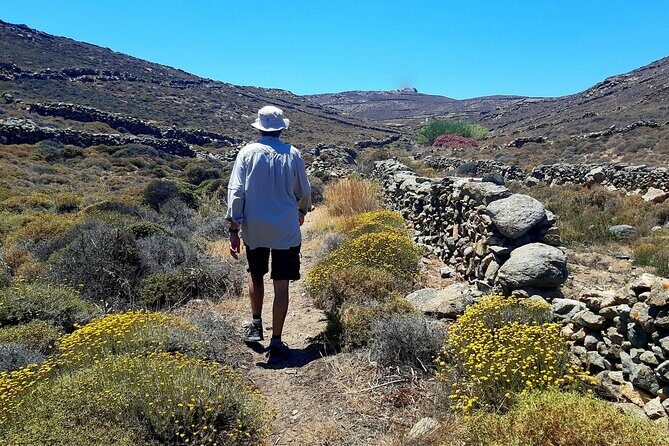 Mykonos Half-Day Hiking Adventure - Summary