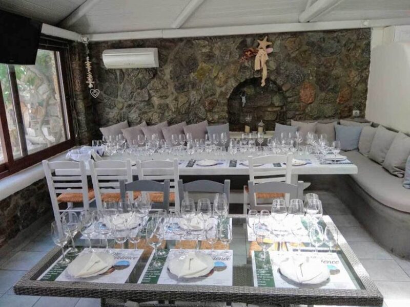 Mykonos: Half-Day Wine Tasting and Snack at a Local House - What to Expect from the Experience