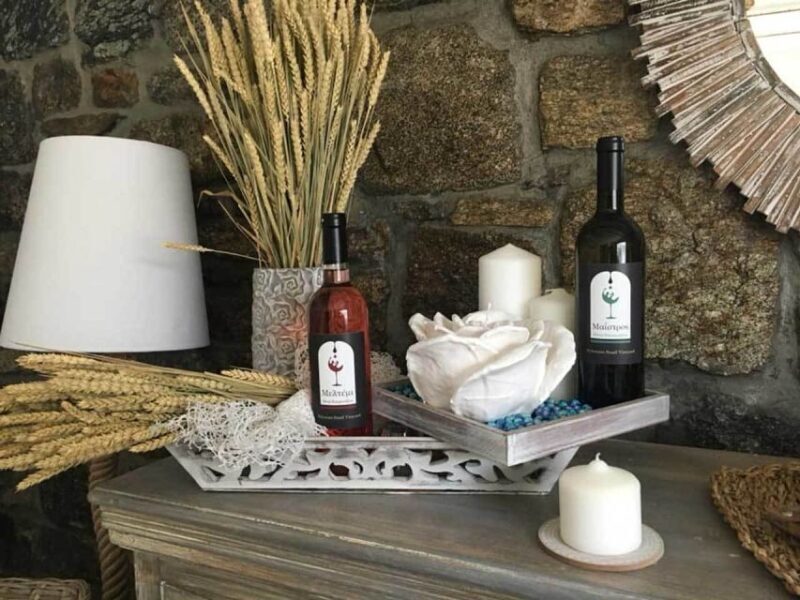 Mykonos: Half-Day Wine Tasting and Snack at a Local House - Authentic Testimonials
