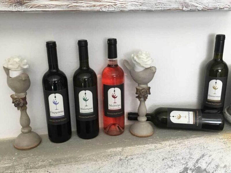 Mykonos: Half-Day Wine Tasting and Snack at a Local House - Who Should Consider This Tour?