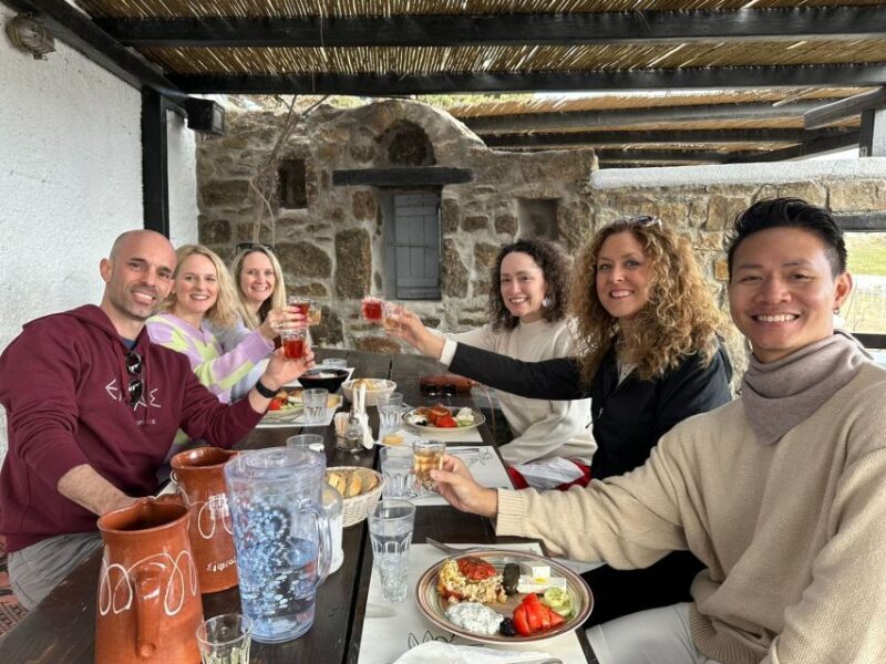 Mykonos Highlights Tour on a Jeep - Who Should Consider This Tour?