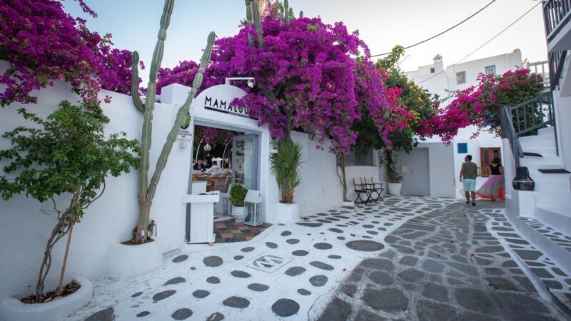 Mykonos: Mykonos Town Private Walking Tour - Who Would Love This Tour?