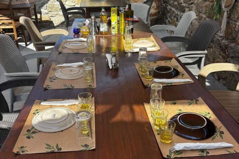 Mykonos: Olive Oil Tasting Experience - Authentic Experiences and Traveler Feedback