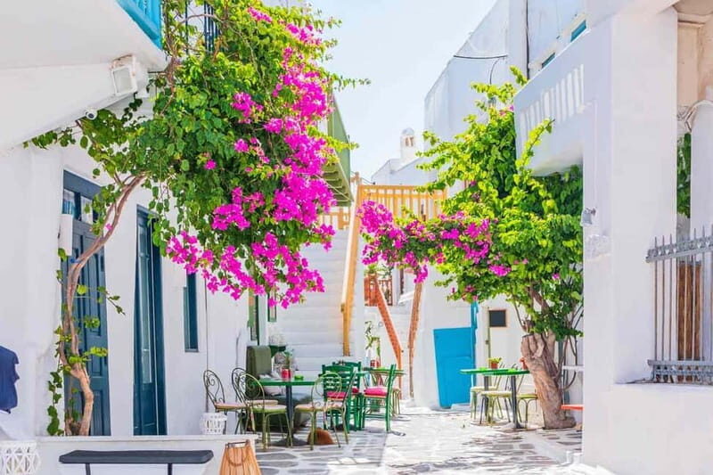 Mykonos Private 4 Hours Van & Walk - Free Port Pick-up - In-Depth Breakdown of the Itinerary