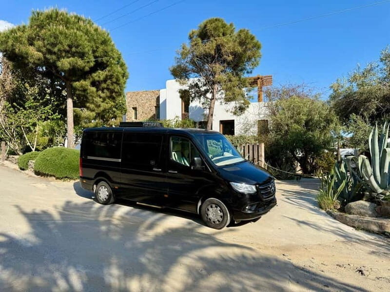 Mykonos Private 4 Hours Van & Walk - Free Port Pick-up - The Practical Side: Transportation, Timing, and Value