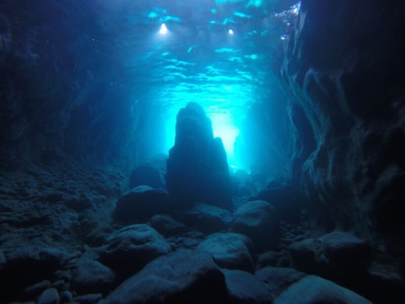 Mykonos: Private Boat Trip and Snorkeling Sea Safari - An Up-Cclose Look at the Mykonos Sea Safari