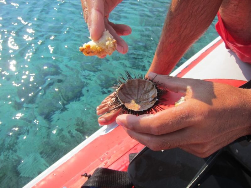 Mykonos: Private Boat Trip and Snorkeling Sea Safari - The Experience in Detail