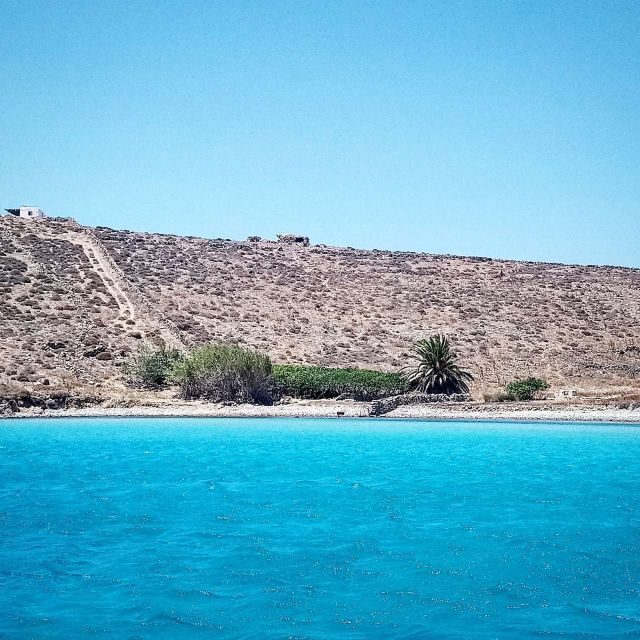 Mykonos: Private Delos and Rhenia 6hrs Cruise with Lunch - An In-Depth Look at the Cruise Experience