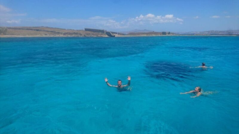 Mykonos: Private Delos and Rhenia 6hrs Cruise with Lunch - Who Should Consider This Experience?