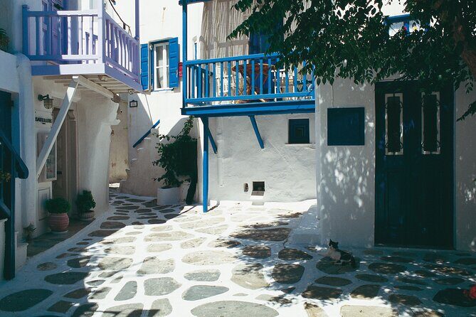 Mykonos Private Island Tour - Final Thoughts