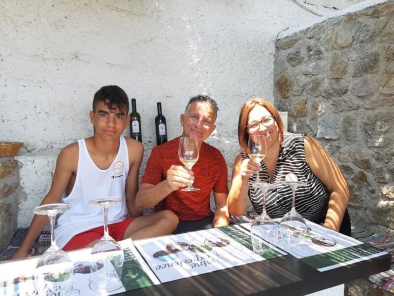 Mykonos: Wine Tasting at a Mykonian Farm - Key Points