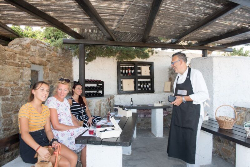 Mykonos: Wine Tasting at a Mykonian Farm - The Itinerary: What You Can Expect from Start to Finish