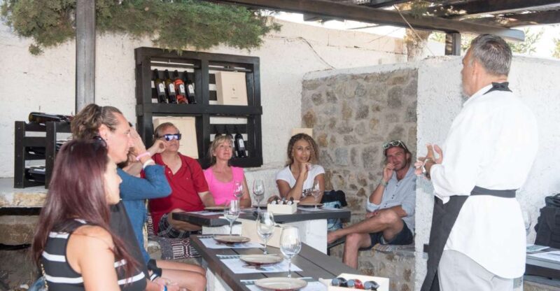 Mykonos: Wine Tasting at a Mykonian Farm - What Past Participants Say