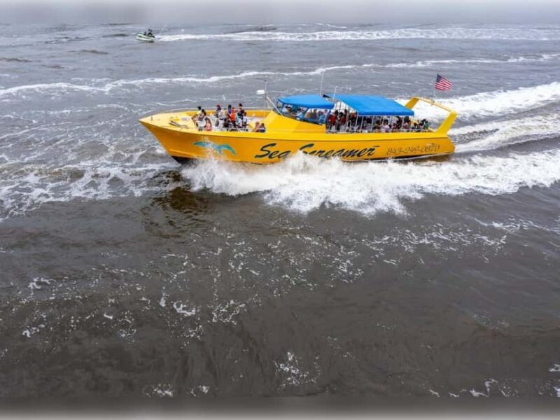 Myrtle Beach: Dolphin Cruise on the Sea Screamer - A Practical Look at the Sea Screamer Dolphin Cruise
