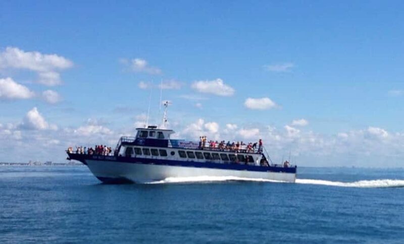 Myrtle Beach: Dolphin & Sealife Cruise, Great For All Ages! - An Overview of the Myrtle Beach Dolphin & Sealife Cruise