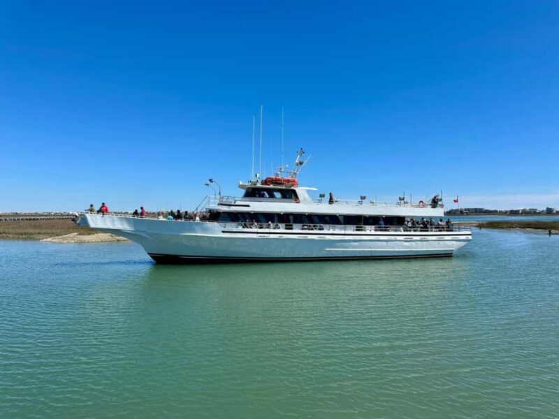 Myrtle Beach: Dolphin & Sealife Cruise, Great For All Ages! - Who Will Love This Cruise?