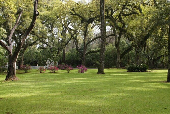 Myrtles Plantation Daytime Historical Tour - Logistics and Practicalities