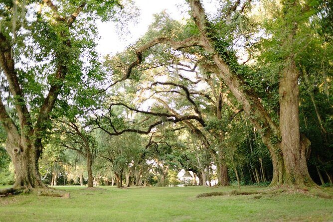 Myrtles Plantation Daytime Historical Tour - In summary, this tour strikes a good balance between affordability, accessibility, and authentic charm, making it a worthwhile stop in Louisiana’s rich landscape of historic sites and haunted tales.