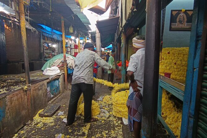 Mysore By Cycle Cultural and Heritage Bike Tour - Who Would Love This Tour?