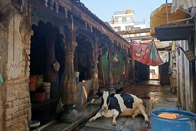 Mysore By Cycle Cultural and Heritage Bike Tour - FAQ