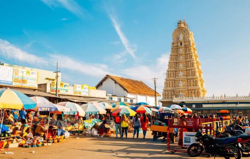 Mysore: Full-Day Guided Excursion with Hotel Pickup - An In-Depth Look at What to Expect