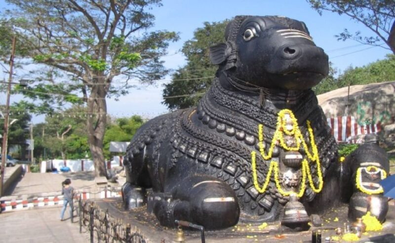 Mysore: Private Full-Day Sightseeing Tour of the City - Key Points