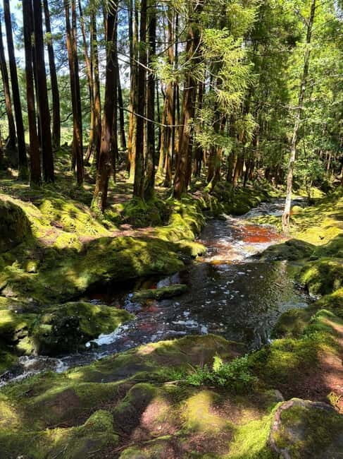 Mystery Tour of Terceira Island - What’s the Real Value?