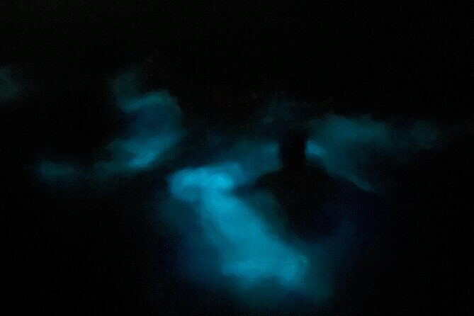 Mystic Waters A Bioluminescent Night Tour - Key Points