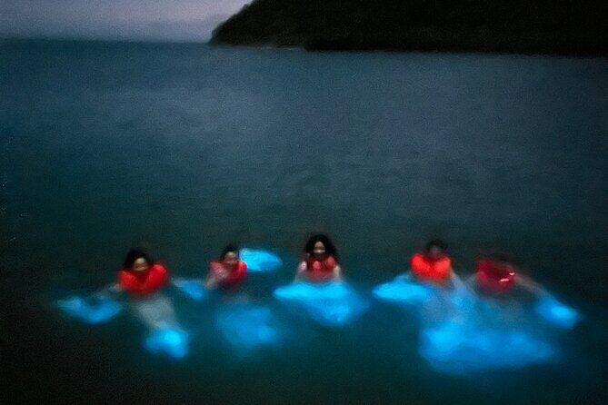 Mystic Waters A Bioluminescent Night Tour - A Closer Look at the Tour Experience