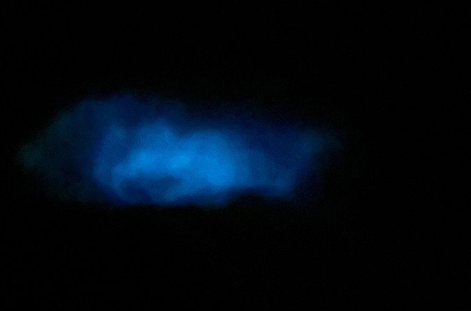 Mystic Waters A Bioluminescent Night Tour - FAQ