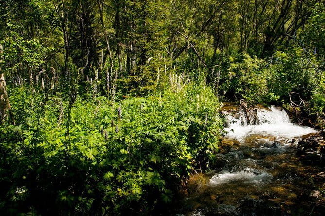 Mystical Altai and Wonders of Taiga of Eastern Kazakhstan 4 DAYS - Key Points