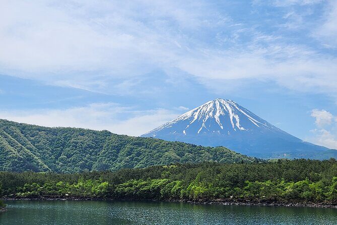 Mystical Fuji Forest Guide Running Trip (Shoe Rental Included) - Detailed Breakdown of the Itinerary