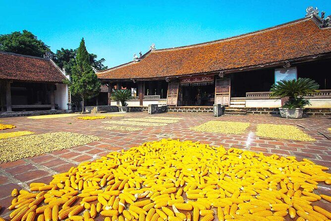 Mystical Hanoi: Thay Pagoda & Duong Lam Village Private Tour - Practical Details and Value